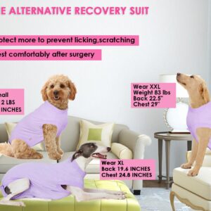 Wabdhaly Dog Surgery Recovery Suit for Large Female Spay,Anti Licking Dog Surgical Recovery Onesie,Fashion Striped Purple L