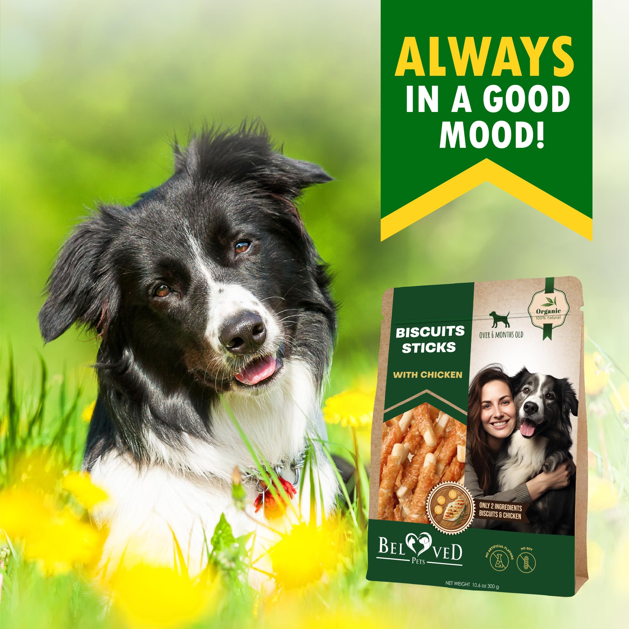 Biscuits Sticks Dog Treats Chicken Wrapped Human Grade Meat - Natural Dried Snacks Rawhide - Free & Grain Free Long Lasting Chews for Large & Small Dogs - Best for Training & Healthy Teeth