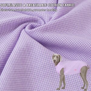 Wabdhaly Dog Surgery Recovery Suit for Large Female Spay,Anti Licking Dog Surgical Recovery Onesie,Fashion Striped Purple L