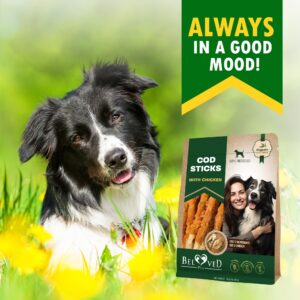 Beloved Pets Cod Sticks Dog Treats Chicken Wrapped - All Natural Rawhide - Free & Grain Free Long Lasting Chews for Large & Small Dogs - Dried Pet Snacks - Support Healthy Teeth & Skin Coat