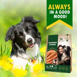 Beloved Pets Chicken Jerky Strips Dog Treats - Human Grade Meat Sticks - Natural Pet Dried Snacks Rawhide - Free - Long Lasting Chews for Large & Small Dogs - Best for Training & Healthy Teeth