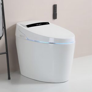 automatic flushing, manual flipping, modern classic elongated with dryer, warm water, foot sensor operation, heated bidet seat, tankless smart toilet with led display