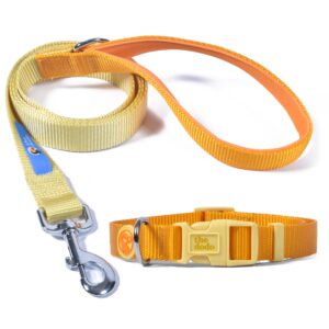 the dodo all nylon yellow collar and leash set - medium; matching cute leash and collar set; waterproof dog leash and collar set, perfect for beach day or trips to the lake