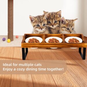 CHTSJQW Elevated Cat Ceramic Bowls, Large DIY 15° Tilted cat Food Bowl Set Raised for Indoor Cats Orthopedic Pet Carbonized Wooden Stand, Anti Vomiting 3 Bowl Cat Feeder Easy to Clean and Fill