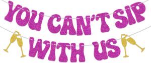 you can't sip with us banner, mean girl party decorations, girls night decorations, mean girl birthday bachelorette wedding bridal shower party decor supplies rose red