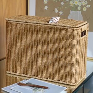 OSALADI Narrow and Tall Storage Box with Lid Book Baskets Narrow Holder Sundries Organizer Toy Baskets Basket with Lid Weave Sundries Basket Plastic File Rack To Weave