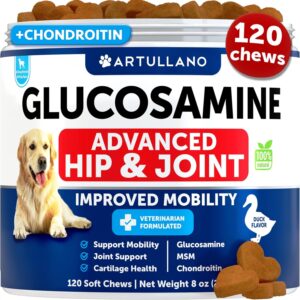 glucosamine for dogs - hip and joint supplement for dogs - glucosamine chondroitin for dogs, turmeric, msm - dog glucosamine support - dog joint pain relief health - 120 chews - duck flavor