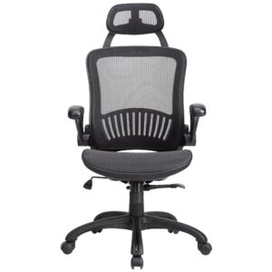 paylesshere ergonomic office chair computer chair high-back with rolling swivel desk mesh chair with lumbar support,headrest,flip-up arms and adjustable features (black)