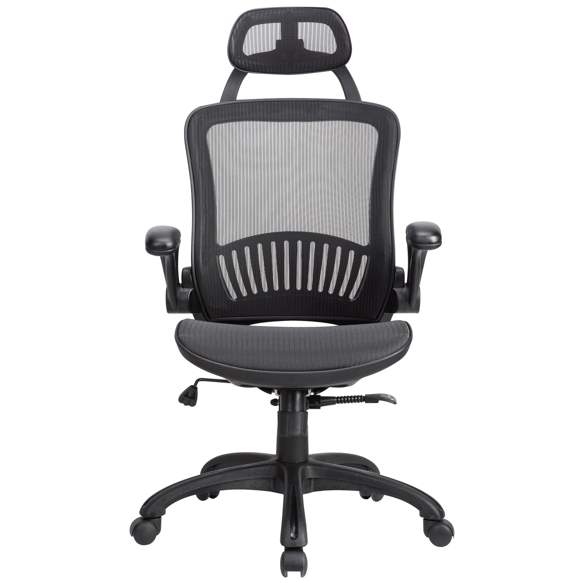 PayLessHere Ergonomic Office Chair Computer Chair High-Back with Rolling Swivel Desk Mesh Chair with Lumbar Support,Headrest,Flip-Up Arms and Adjustable Features (Black)