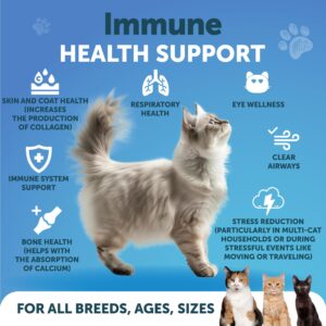 Lysine for Cats - L-Lysine Powder for Cats - Immune Support for Cats Sneezing and Runny Nose, Cat Cold, Eye Function, Respiratory Health - Allergy Relief - Lysine Supplement for Cats