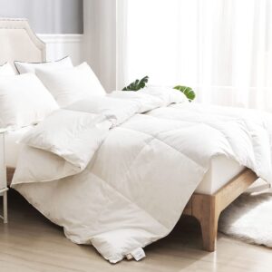 APSMILE 2PCS Down comforters and Duvet Cover Set