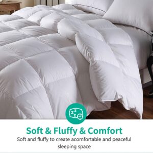 APSMILE 2PCS Down comforters and Duvet Cover Set