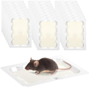 qualirey 24 pack glue traps sticky mouse trap rat traps indoor rodent killer trays rat mouse exterminator plastic sticky non toxic mice trap for home indoor outdoor mice rats rodent