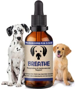 mycodog breathe mushroom extract & adaptogen tincture for canines - mushroom & ashwagandha supplements for dogs with breathing challenges - reishi mushroom, chaga, cordyceps mushroom & artist conk