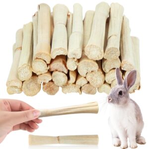 wyomer 1lb sweet bamboo chew toy natural sweet bamboo animals molar chew sticks toys pet snacks bamboo sticks treats