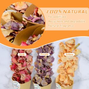 20+ Cups Real Rose Petals Biodegradable Wedding Flower Confetti, 2 QT Mixed Yellow Purple Pink Dried Roses Petals for Wedding Proposal Bath Valentine's Day Party Flower Girl