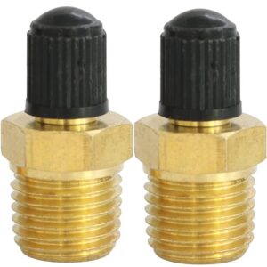 tank valve, 2pcs schrader valve standard valve core with 1/4''npt male threads for air compressor tanks