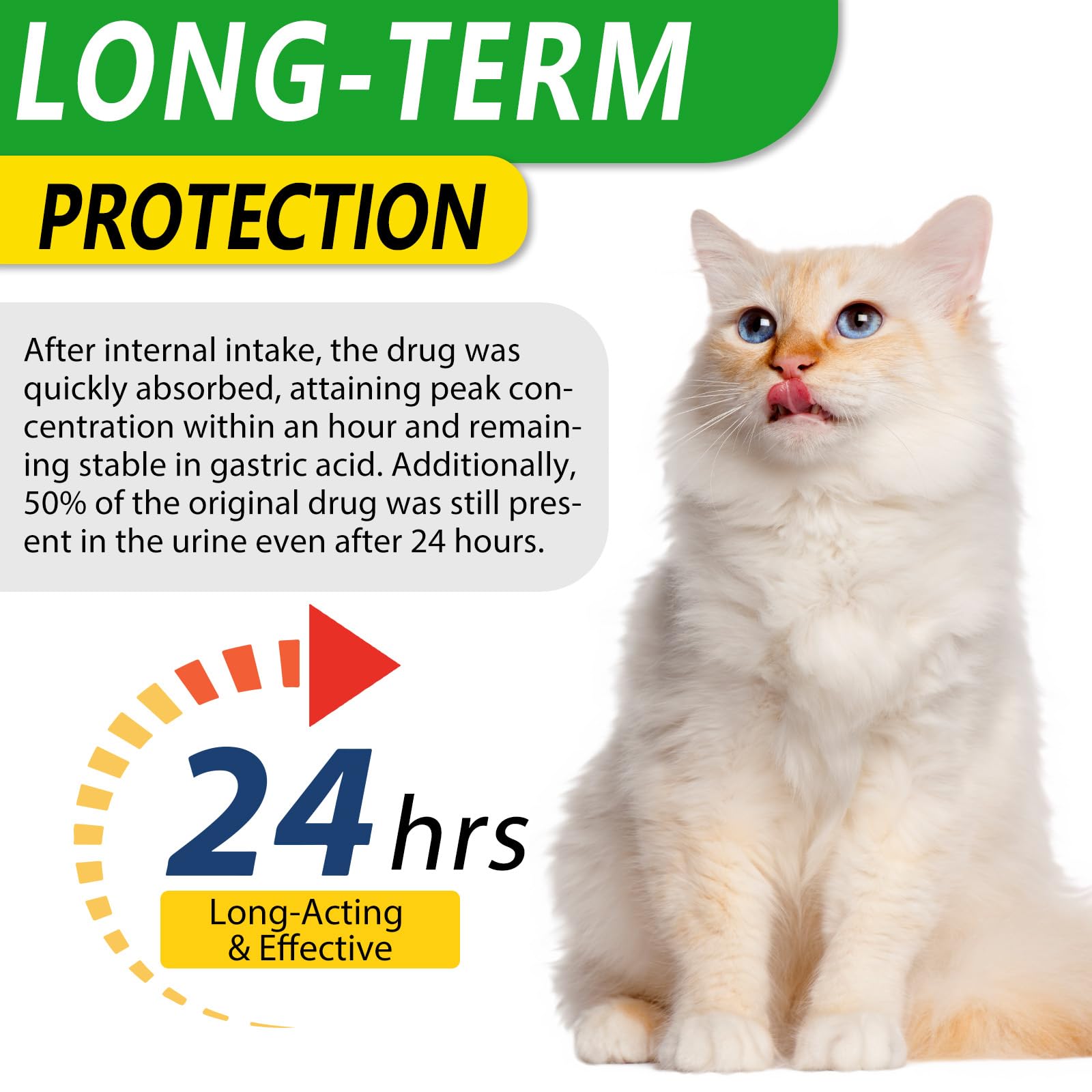 Antibiotics for Cats, Natural Antibiotic for Cats, Pet Supplements, Cat Antibiotics Supports Immune & Cats Allergy Relief, Cats Multivitamin, Cats UTI Antibiotics, Chicken Flavour - 2 Fl Oz / 1 Pack