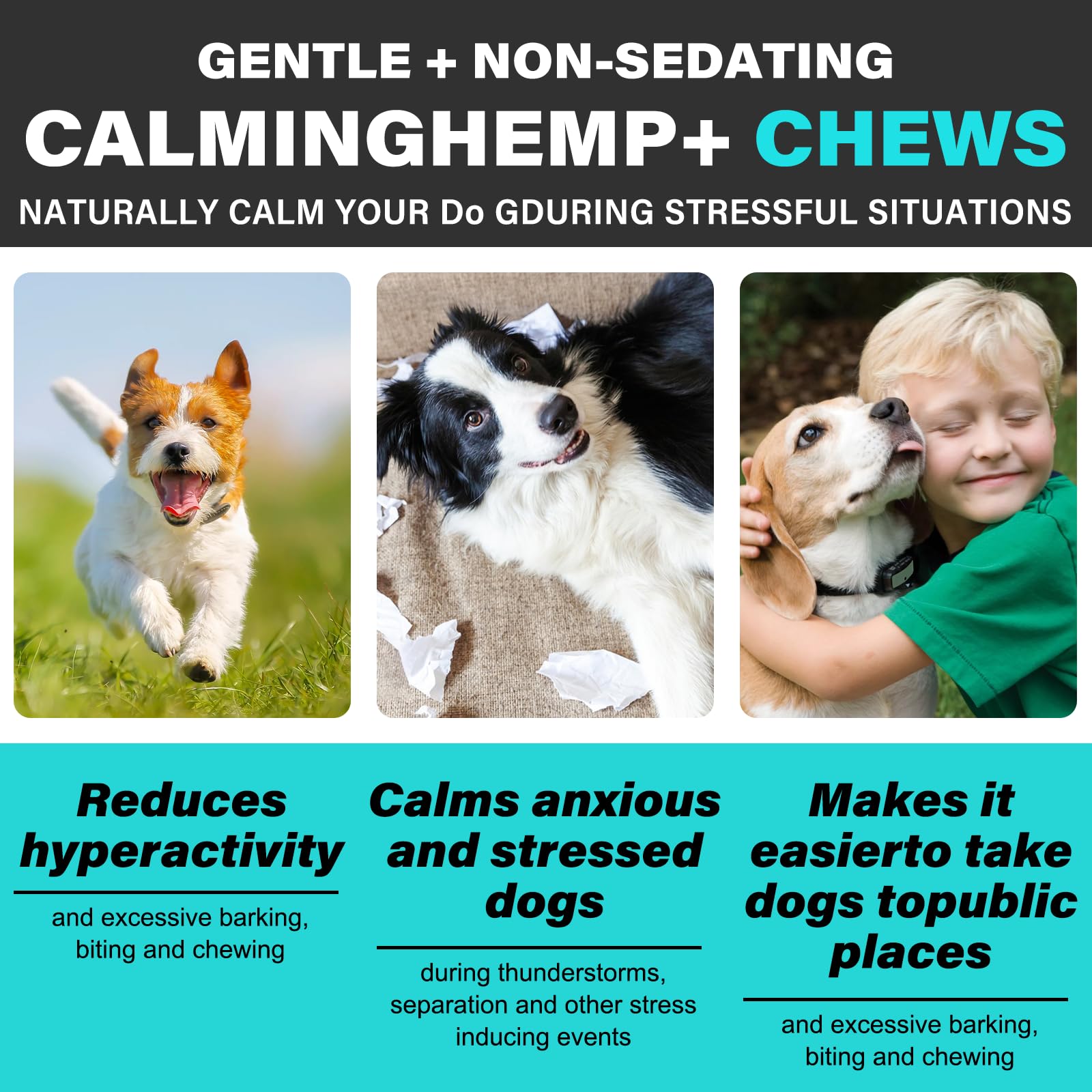 Dvoevivh Calming Chews for Dogs, Dog Calming Treats Anxiety Relief Natural Soothing Supplement, Dog Stress & Dog Anxiousness - Helps Aid with Thunder, Fireworks, Chewing & Barking