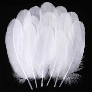 holmgren white craft goose feathers - 200pcs 5-6inch white feathers for diy crafts dream catchers, angel wings and wedding party christmas home decoration (white)