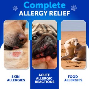 Artullano Dog Allergy Relief Chews - Dog Itching Skin Relief Treatment Pills - Itchy and Paw Licking - Anti-Itch Support - Immune Skin & Coat Supplement - Dry Skin and Hot Spots - 70 Treats