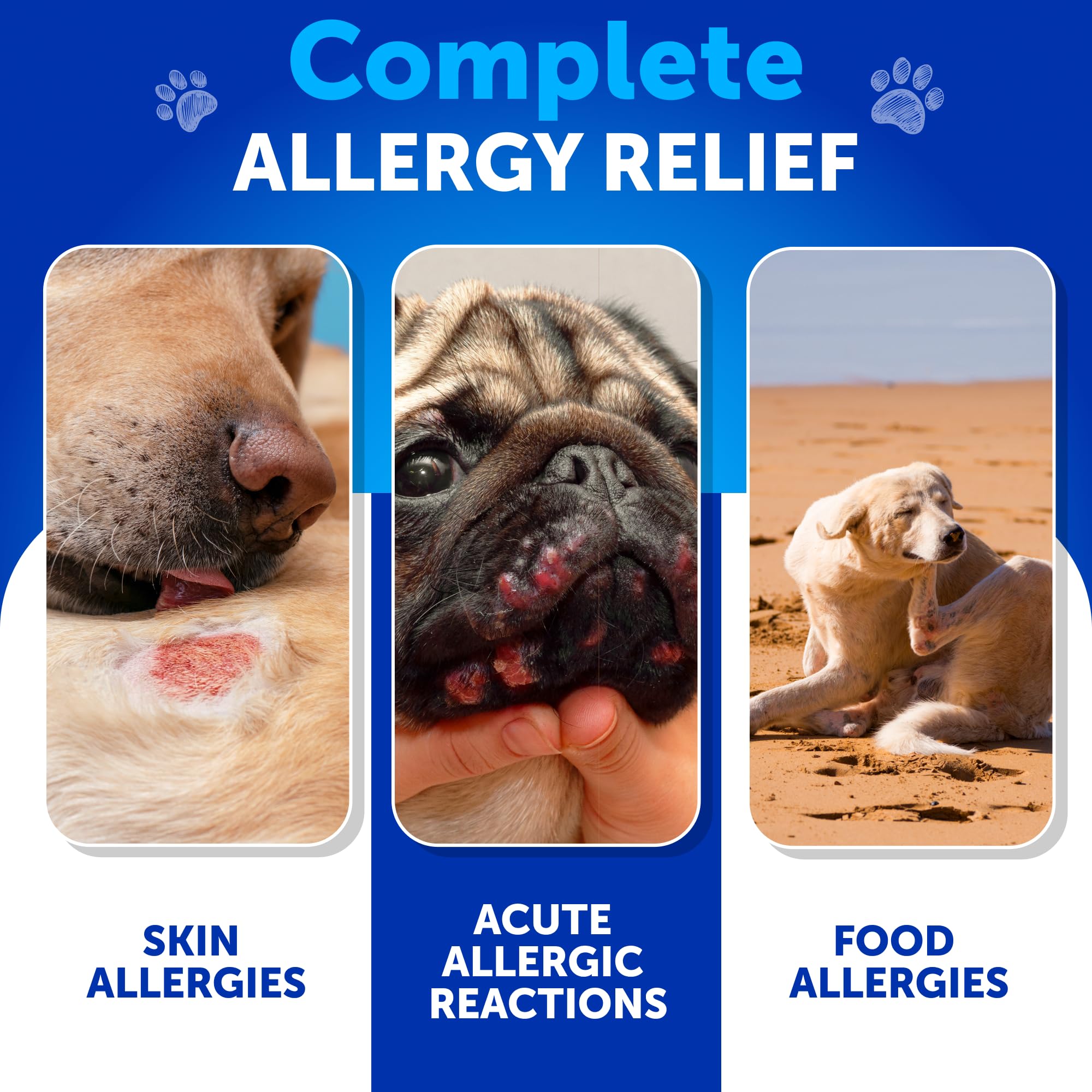 Artullano Dog Allergy Relief Chews - Dog Itching Skin Relief Treatment Pills - Itchy and Paw Licking - Anti-Itch Support - Immune Skin & Coat Supplement - Dry Skin and Hot Spots - 70 Treats