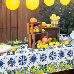 Nefelibata Lemon Tablecloth Birthday Party Decorations 3PCS Disposable Blue Tile Plastic Table Covers for Bridal Baby Showers Kitchen for Summer Spring Italian Themed Party Supplies 42 * 88 Inches