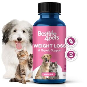 weight & thyroid support for dogs and cats - natural solution for hunger control, metabolism support & optimal thyroid function - effective dog & cat weight loss - 400 odorless, tasteless pills