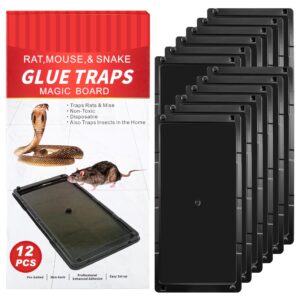 reliable1st super glue rat & mouse traps 12 pack | non-toxic tray with super strong glue for rat, mouse and snake | heavy duty rodent catcher for inside home | pet & family safe