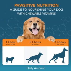 NOVEHA Eye Supplement for Dogs (90 Chews)- Vision Support with Lutein + Vitamin C & Astaxanthin Antioxidants - Dog Vitamins for Eyes + Fish Oil for Omega 3 EPA - Made in USA