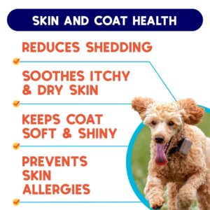 Omega 3 Treats + Salmon Oil for Dogs - Dry & Itchy Skin Relief + Allergy Support - Shiny Coats - EPA&DHA Fatty Acids - Natural Salmon Oil Chews Promotes Hip & Joint Support - Salmon Flavor