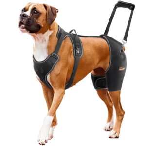 chamin/risurry dog hip brace support for hip dysplasia, arthritis, back leg limping, rear leg brace with back handheld design to reduce hip pain et(large)