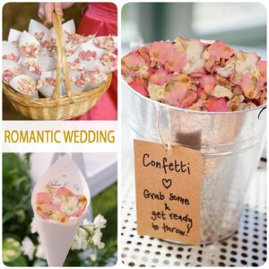 20+ Cups Mix Dried Rose Jasmine Flower Petals Biodegradable Confetti, 2 QT of Real Natural White Pink Rose for Wedding Proposal Party Valentine's Day Decor Flower Girls, Bath salt Candle Soap Making