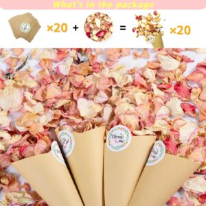 20+ Cups Mix Dried Rose Jasmine Flower Petals Biodegradable Confetti, 2 QT of Real Natural White Pink Rose for Wedding Proposal Party Valentine's Day Decor Flower Girls, Bath salt Candle Soap Making