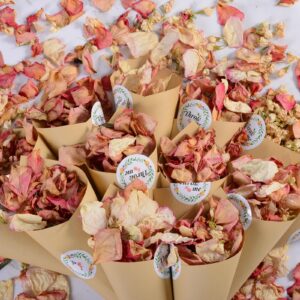 20+ cups mix dried rose jasmine flower petals biodegradable confetti, 2 qt of real natural white pink rose for wedding proposal party valentine's day decor flower girls, bath salt candle soap making