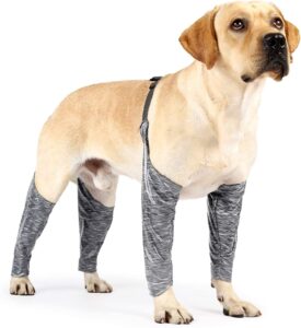 dog leggings to prevent licking, pee, dog recovery sleeve, dog sleeves for wounds front & back legs grey 2x-large