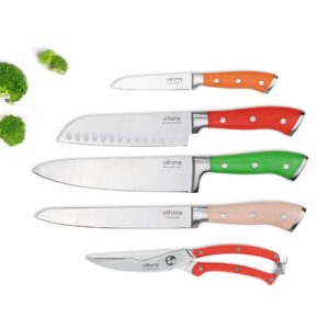 elihome 5 piece professional kitchen knife set, premium stainless steel ultra sharp knives set for kitchen, ergonomic colorful handle, home cooking, perfect cutlery set gift, without block