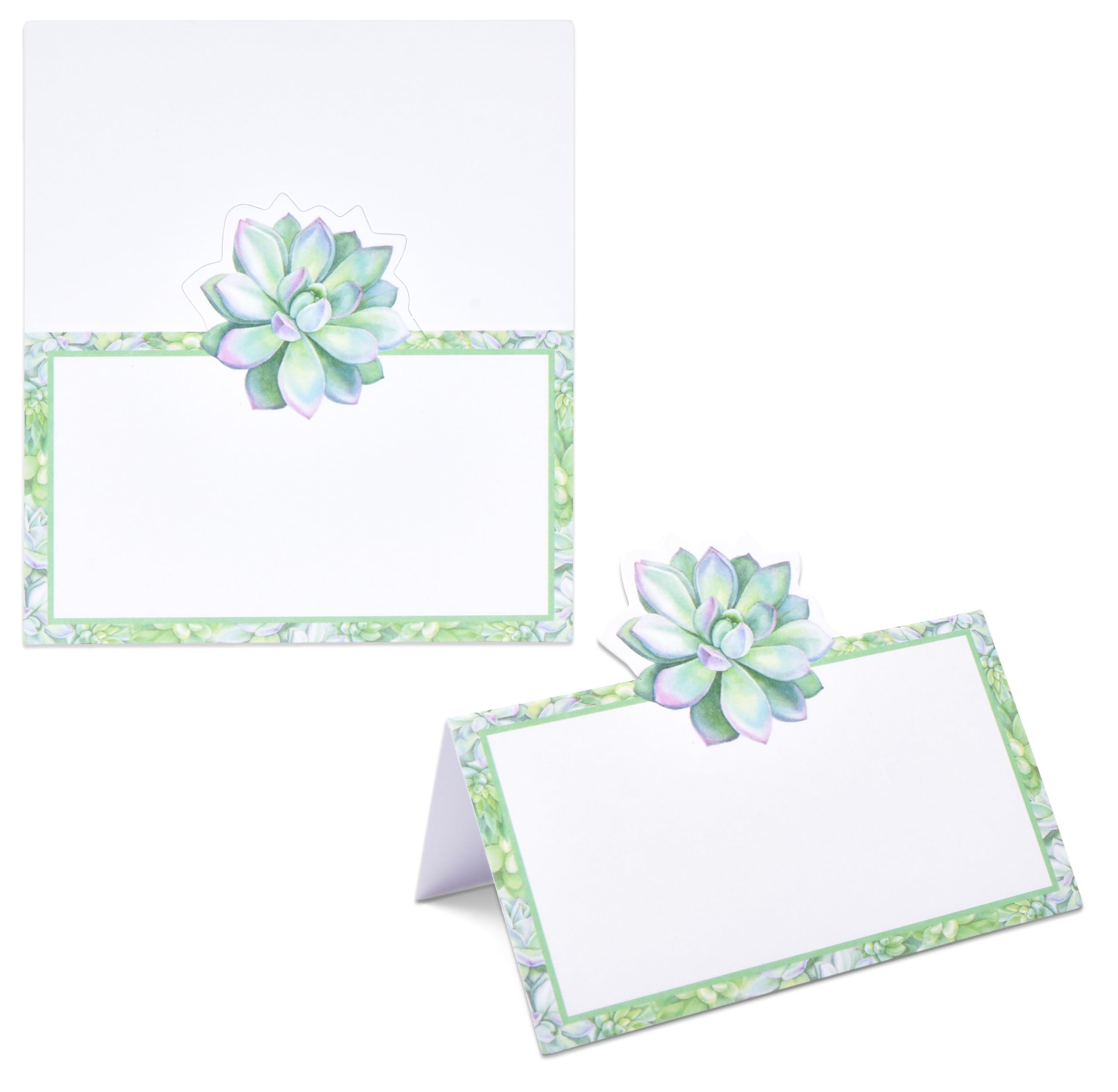 100 Succulent Place Cards Cactus Floral Green Leaves Succulents Name Card Wedding Table Setting Folded Tent Cards for Baby Shower Dinner 2" x 3.5"