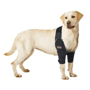 lispoo dog elbow brace protector pads provides elbow support and protection, dog elbow dysplasia brace for elbow hygroma, arthritis, dysplasia, elbow calluses, shoulder dislocation, elbow brace(xl)