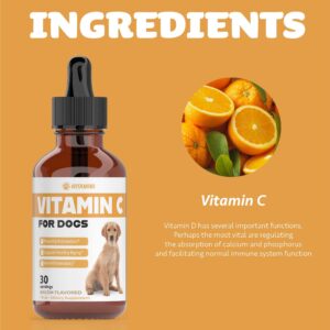 Vitamin C for Dogs | Helps with Improving Immune Health | Vitamin C for Dogs Liquid | Dog Immune Support | Dog Immune and Allergy Supplement | Dog Immune Booster | 1 oz Bacon Flavor