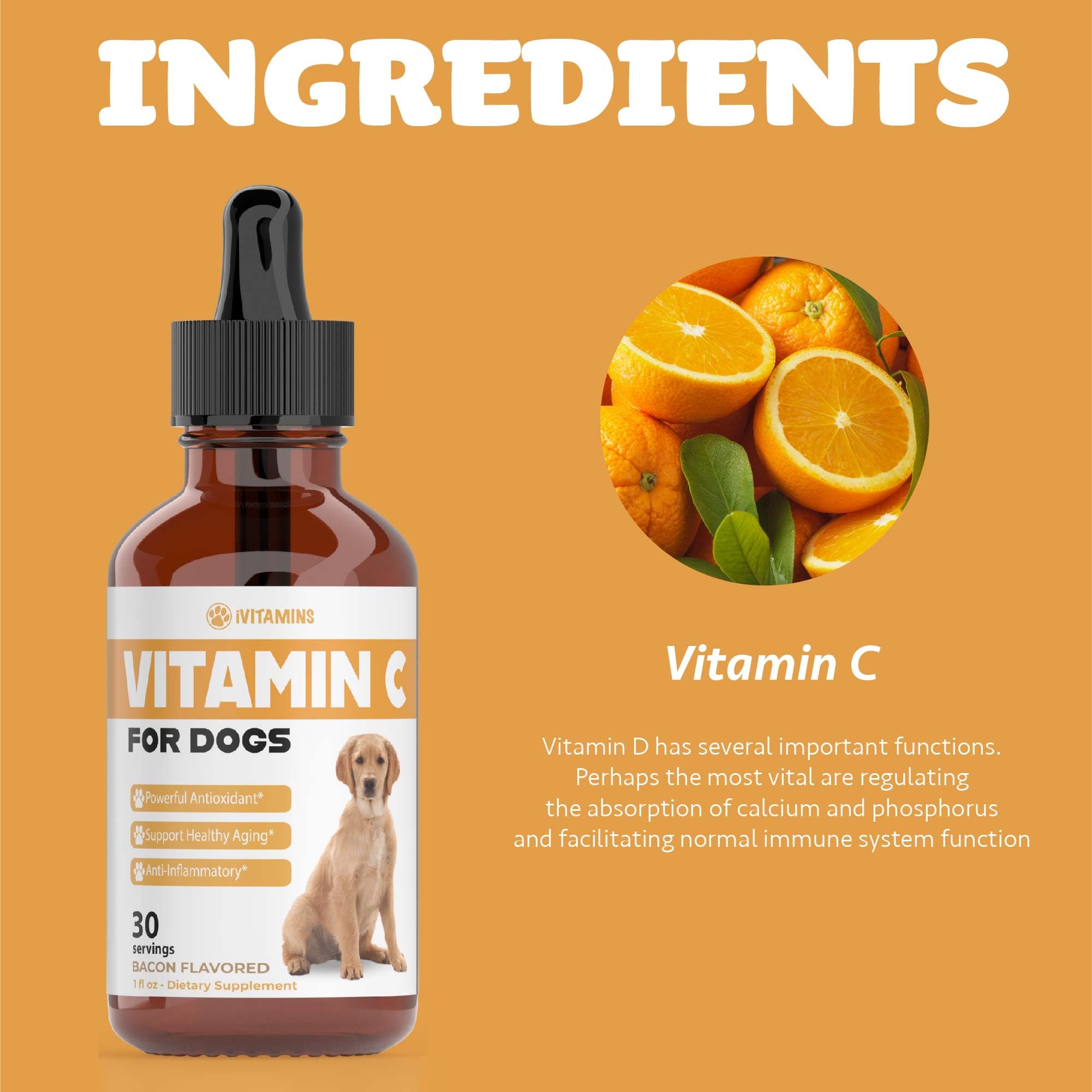 Vitamin C for Dogs | Helps with Improving Immune Health | Vitamin C for Dogs Liquid | Dog Immune Support | Dog Immune and Allergy Supplement | Dog Immune Booster | 1 oz Bacon Flavor