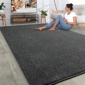 rtizon area rug for bedroom, 4x6 feet black and white shag rugs with memory foam for living room dorm, machine washable carpet for girls kids nursery play room