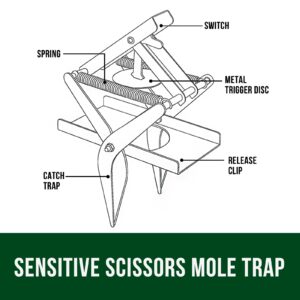 Garsum EasySet Mole Trap, Black Scissor Trap for Lawns, Reusable Quick and Clean Kill Vole Trap, 1 Set