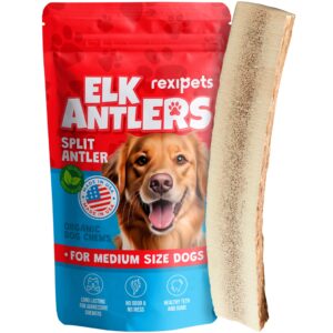 100% natural - elk antlers for dogs ( split ) - naturally shed in usa - dog antler chews medium breeds - natural, long-lasting treats for aggressive chewers - dog chews - no smell & no mess - medium