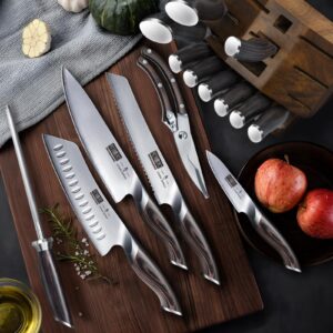 HOSHANHO 16-Piece Knife Set, Japanese AUS-10 Stainless Steel Kitchen Knife Set, Ultra Sharp Chef Knife Block Set with Sharpener