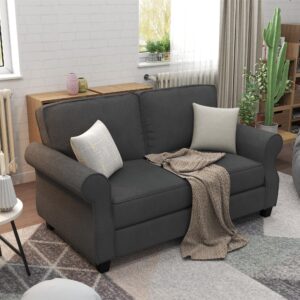 Sunrise Coast Loveseat Sofa 56'' Small Couches for Living Room Upholstered 2 Seater Sofas with Round Armrest Cushion with Zipper, Grey