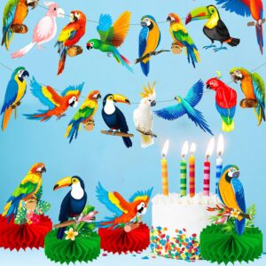 Parrot Honeycomb Centerpieces 11Pcs Tropical Bird Party Table Centerpieces Birds Party Supplies Hawaiian Luau Party Decoration for Rainforest Birds Baby Shower Party Supplies