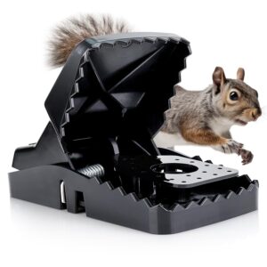 squirrel trap (2 pack) - consistent & humane kill every time with no failures - powerful spring - 5" large opening - 96% instant kill - for attic, garden, forest & more - reusable - easy setup