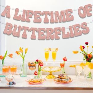 A Lifetime of Butterflies Banner, Butterfly Bridal Shower Decor Sign, Butterfly Theme Wedding Bachelorette Party Decorations, Butterfly Themed Engagement Party Supplies