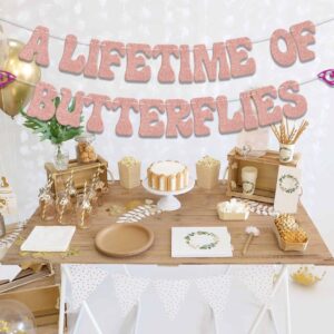 A Lifetime of Butterflies Banner, Butterfly Bridal Shower Decor Sign, Butterfly Theme Wedding Bachelorette Party Decorations, Butterfly Themed Engagement Party Supplies